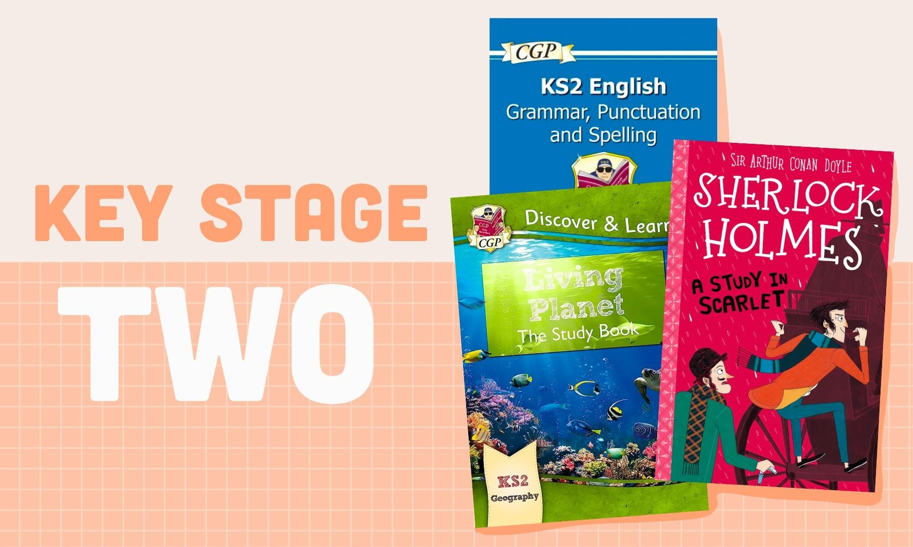 Back to School Books — Books2Door