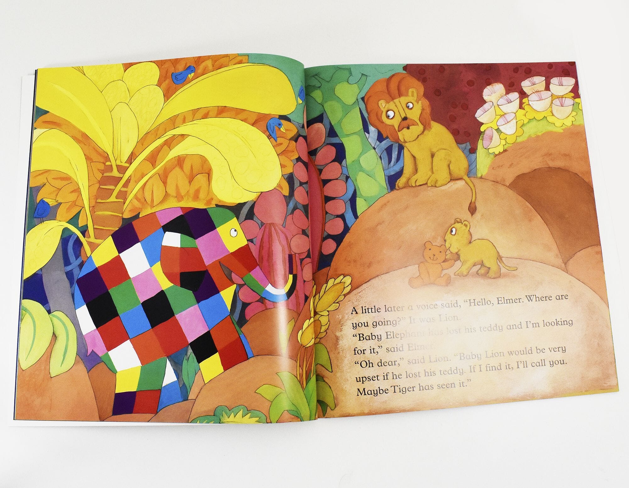Elmer By David McKee - 10 Picture Books — Books2Door