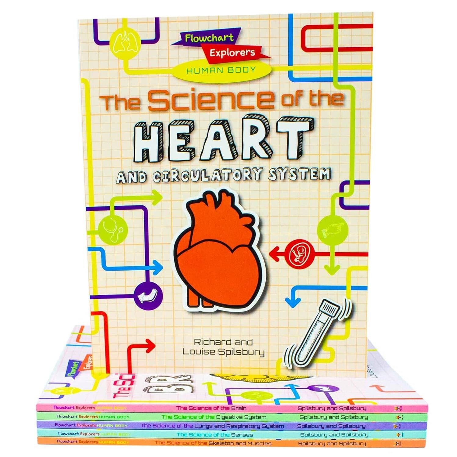 Flowchart Explorers Human Body Series 6 Books Collection Set - Ages 9 ...