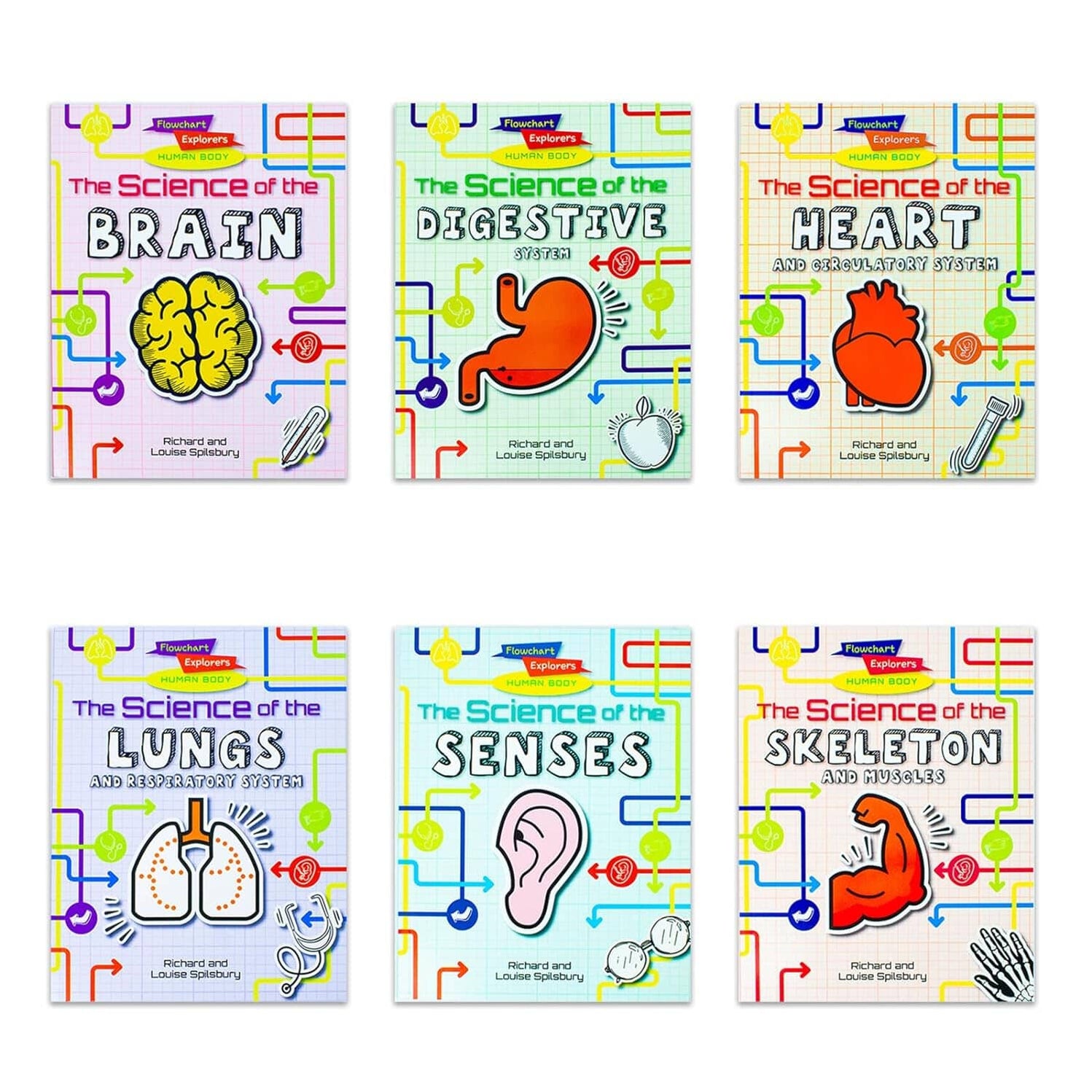 Flowchart Explorers Human Body Series 6 Books Collection Set - Ages 9 ...