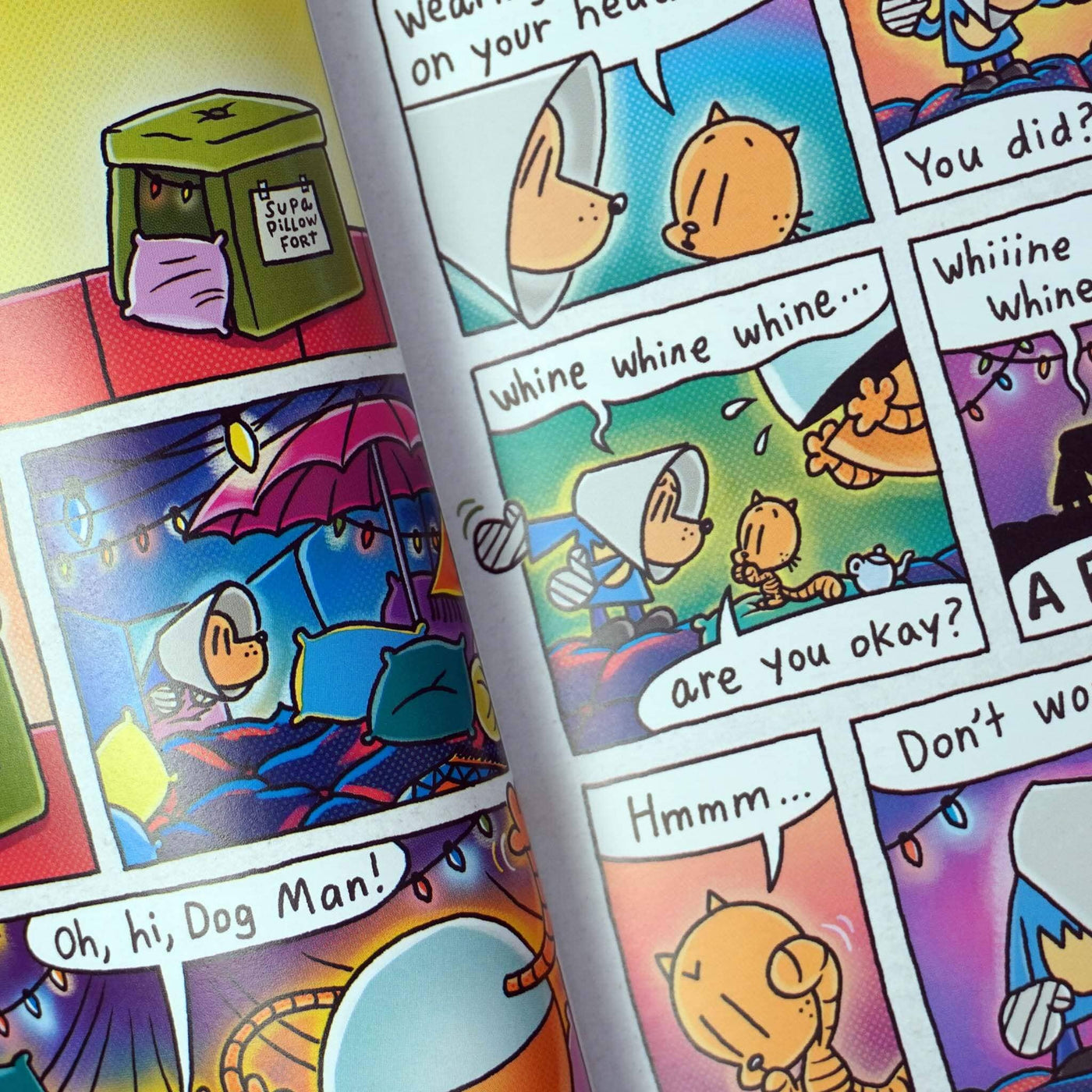 Dog Man by Dav Pilkey: Books 1-10 — Books2Door