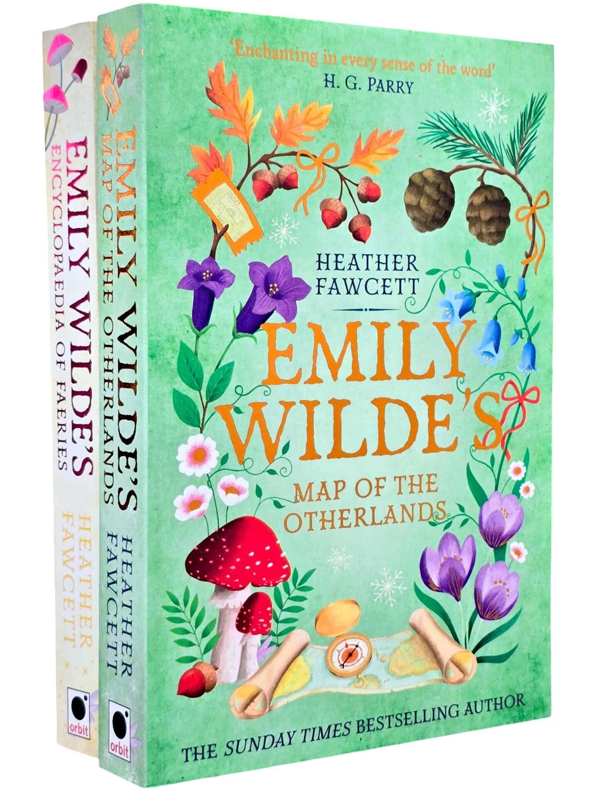 Emily Wilde Series by Heather Fawcett 2 Books Collection Set - Fiction ...