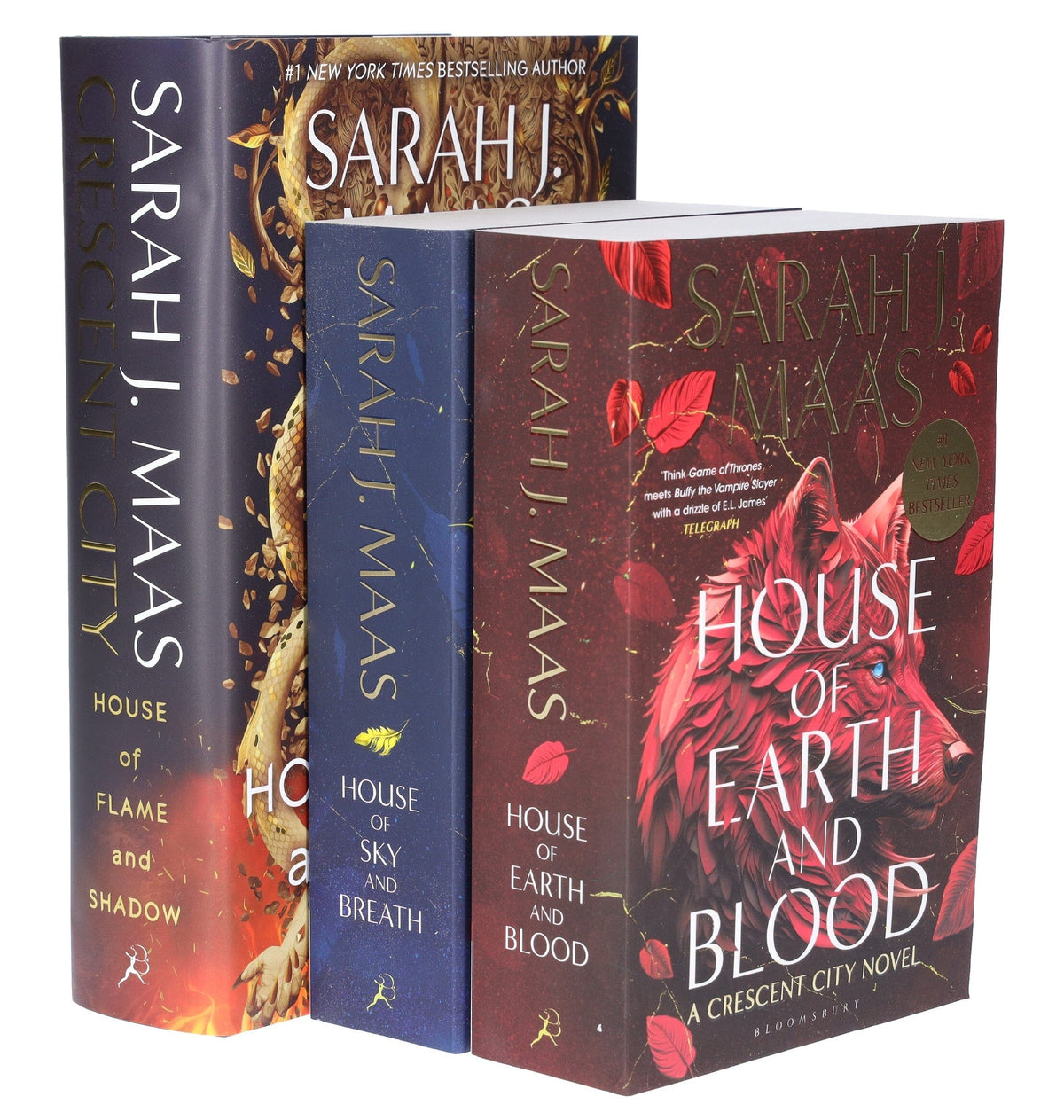 Crescent City Series by Sarah J. Maas: 3 Books Collection Set - Fictio ...