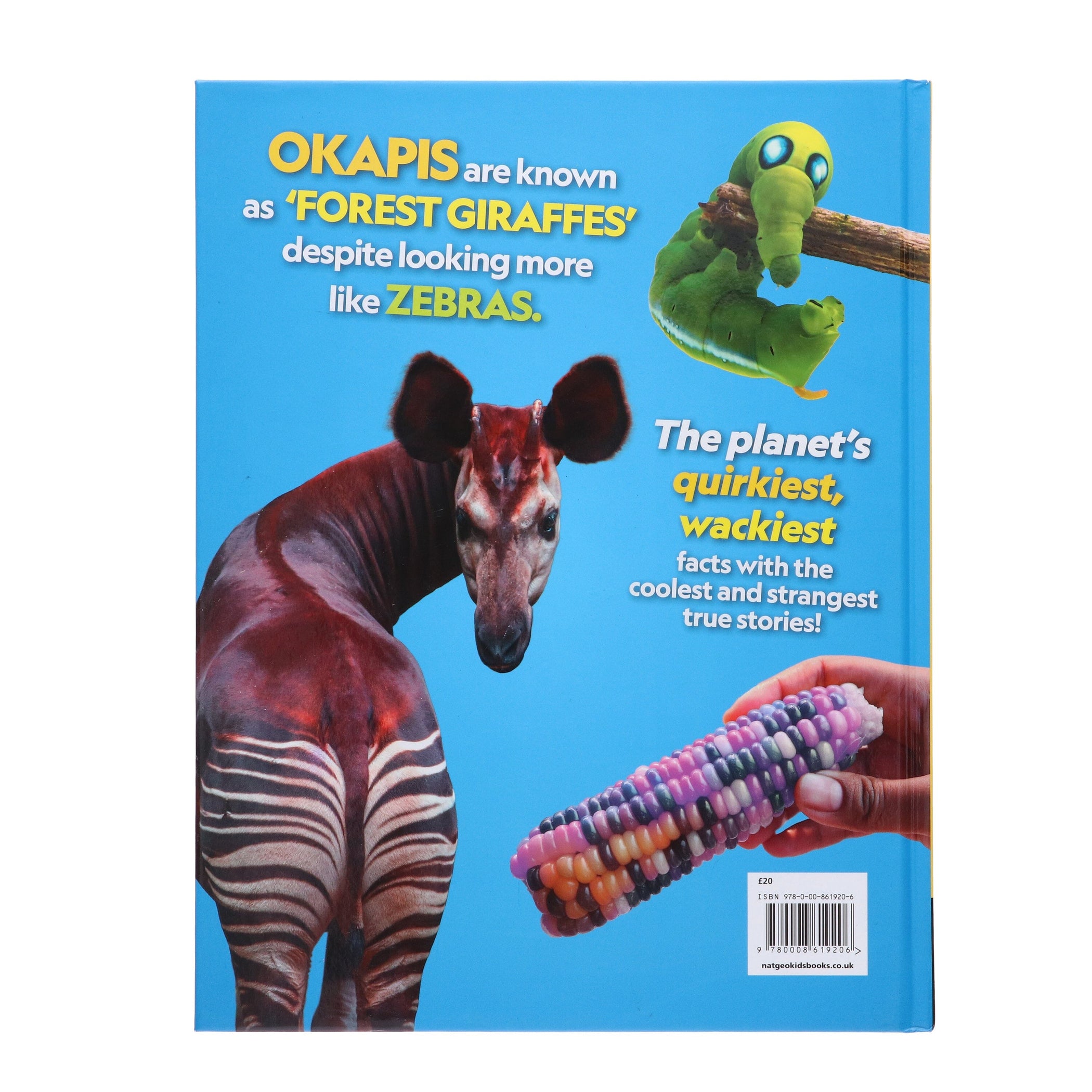 Weird but true! 2024: wild and wacky facts & photos! by National Geogr ...