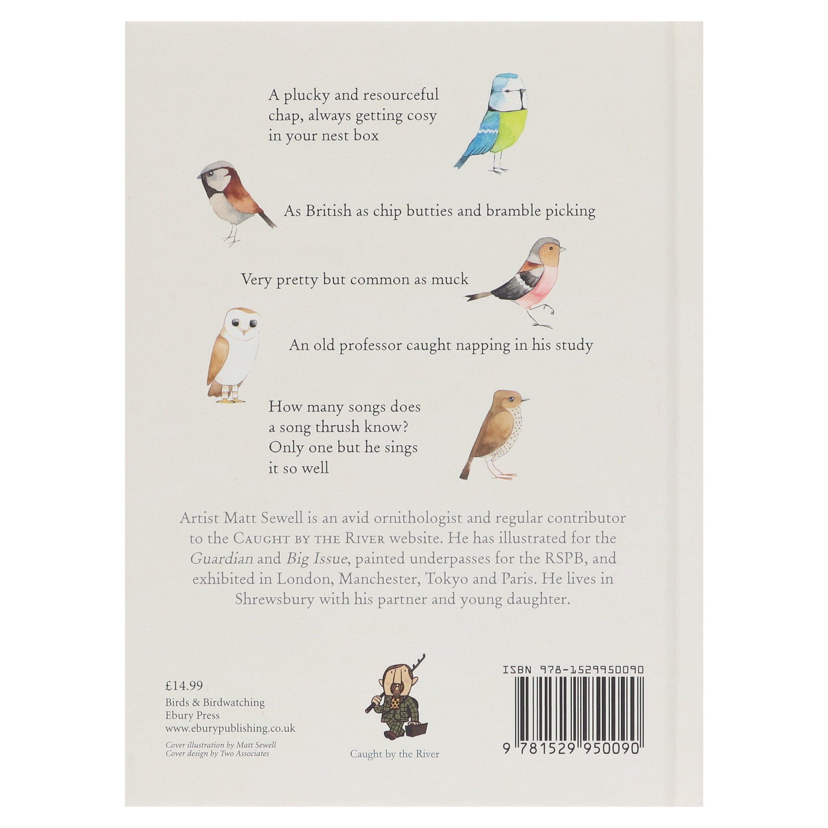 Our Garden Birds: a stunning illustrated guide to the birdlife of the ...