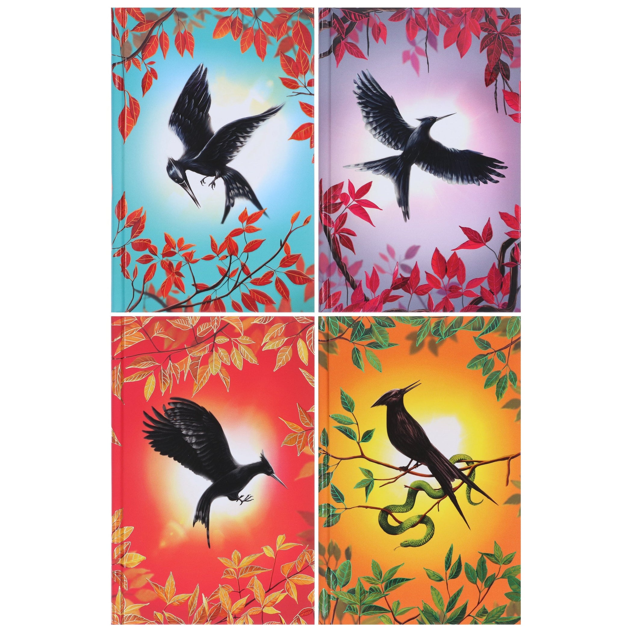 The Deluxe Hunger Games by Suzanne Collins 4 Books Collection Box Set ...