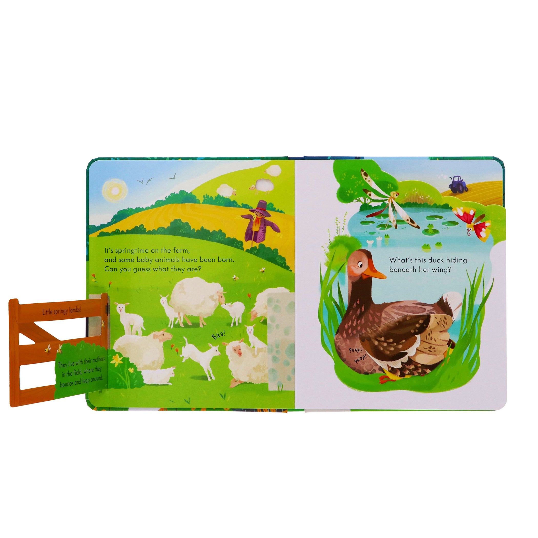 Peep Inside Complete by Usborne — Books2Door