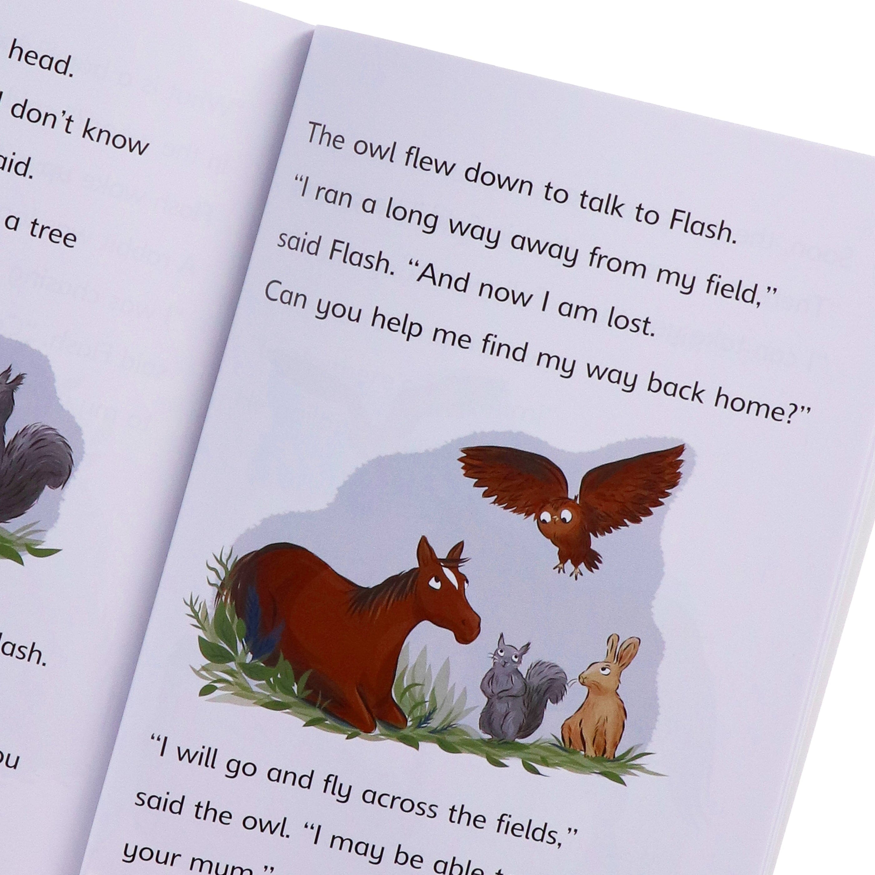 Reading Champions Developing Readers — Books2Door