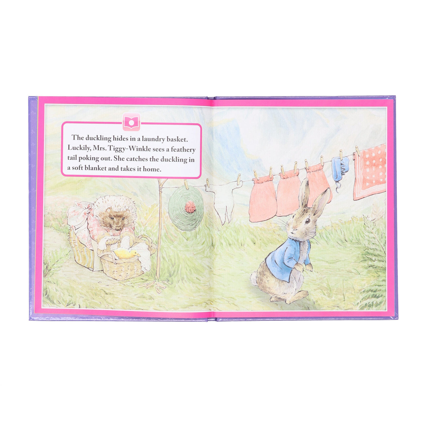The World of Peter Rabbit: 8 Book Library and Electronic Reader Sound ...