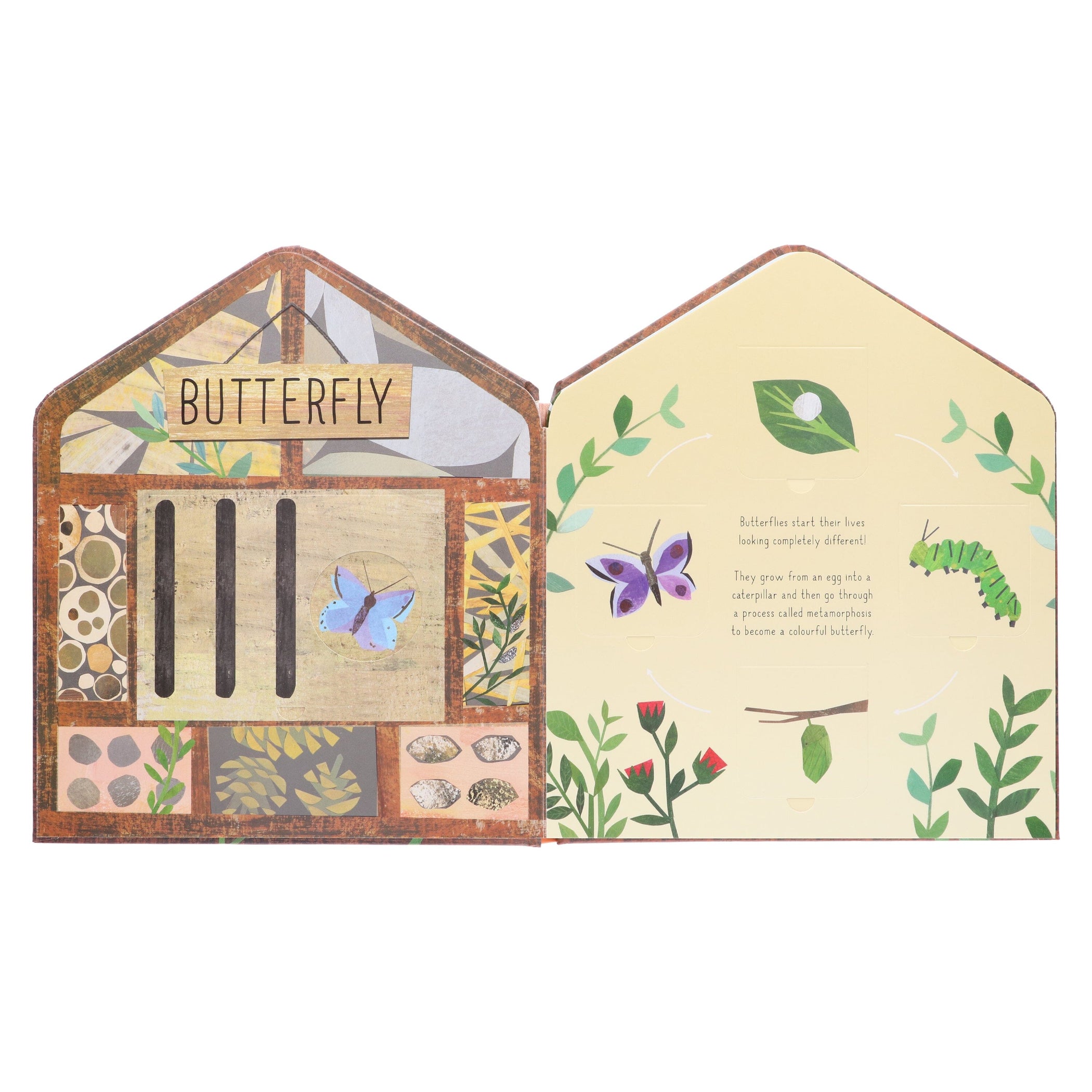 A Clover Robin Book of Nature Series 3 Books - Books2Door