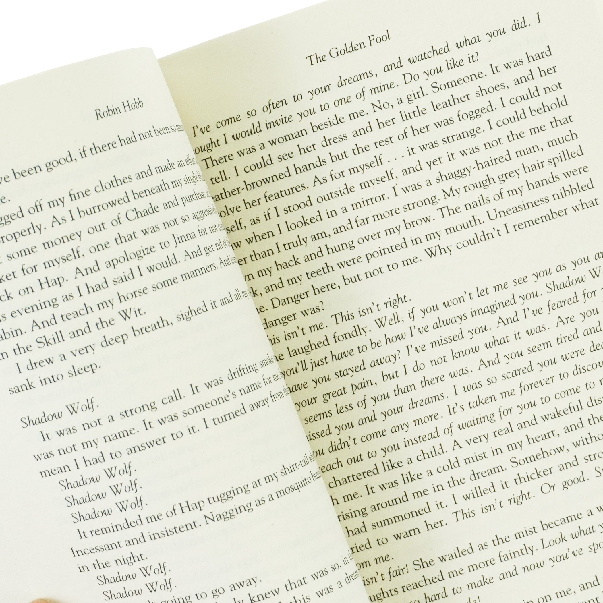 Tawny Man Trilogy by Robin Hobb 3 Books Collection Set - Fiction - Pap ...