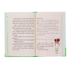 Questioneers Chapter Book Collection by Andrea Beaty & David Roberts 4 ...