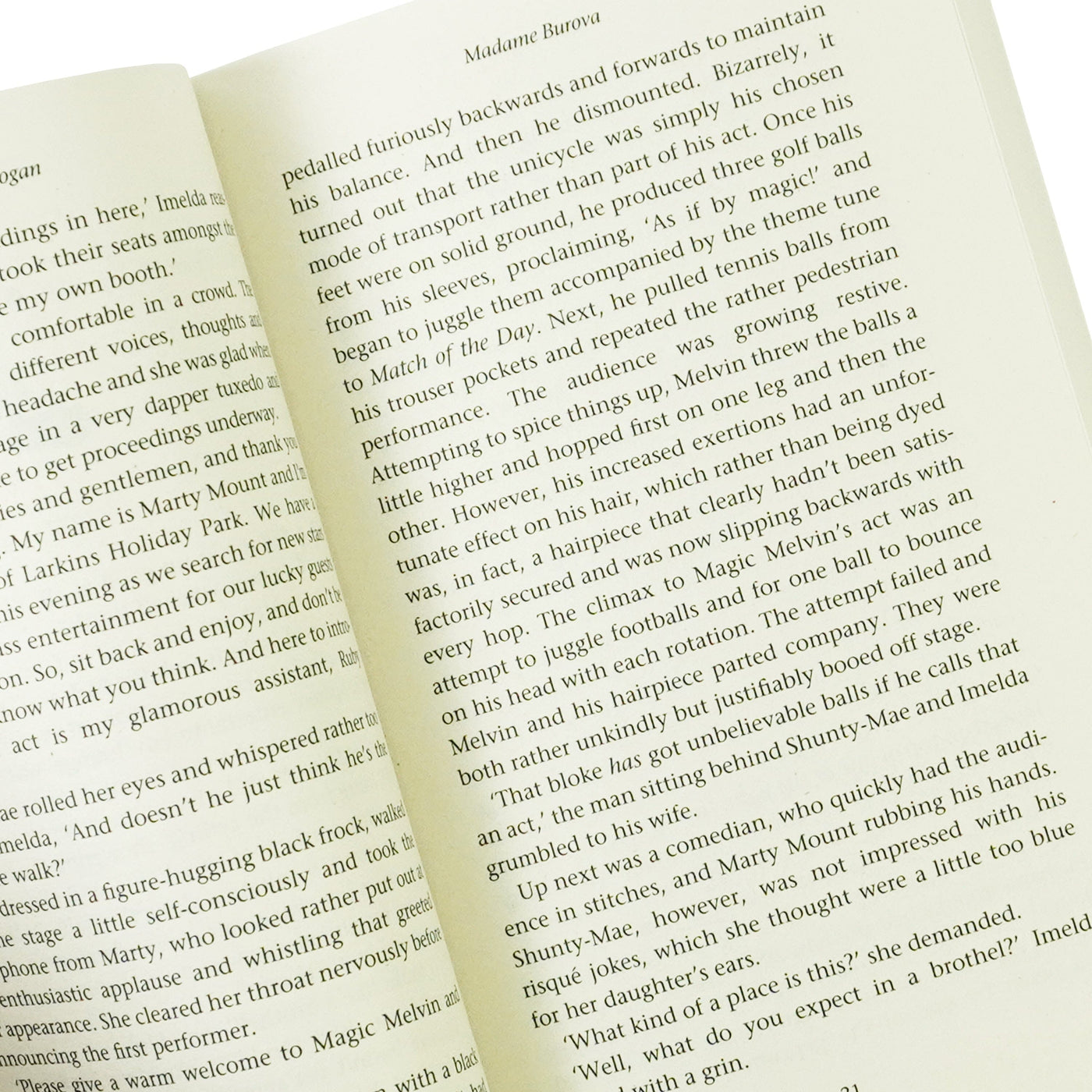 Ruth Hogan Collection 4 Books Set - Fiction - Paperback — Books2Door