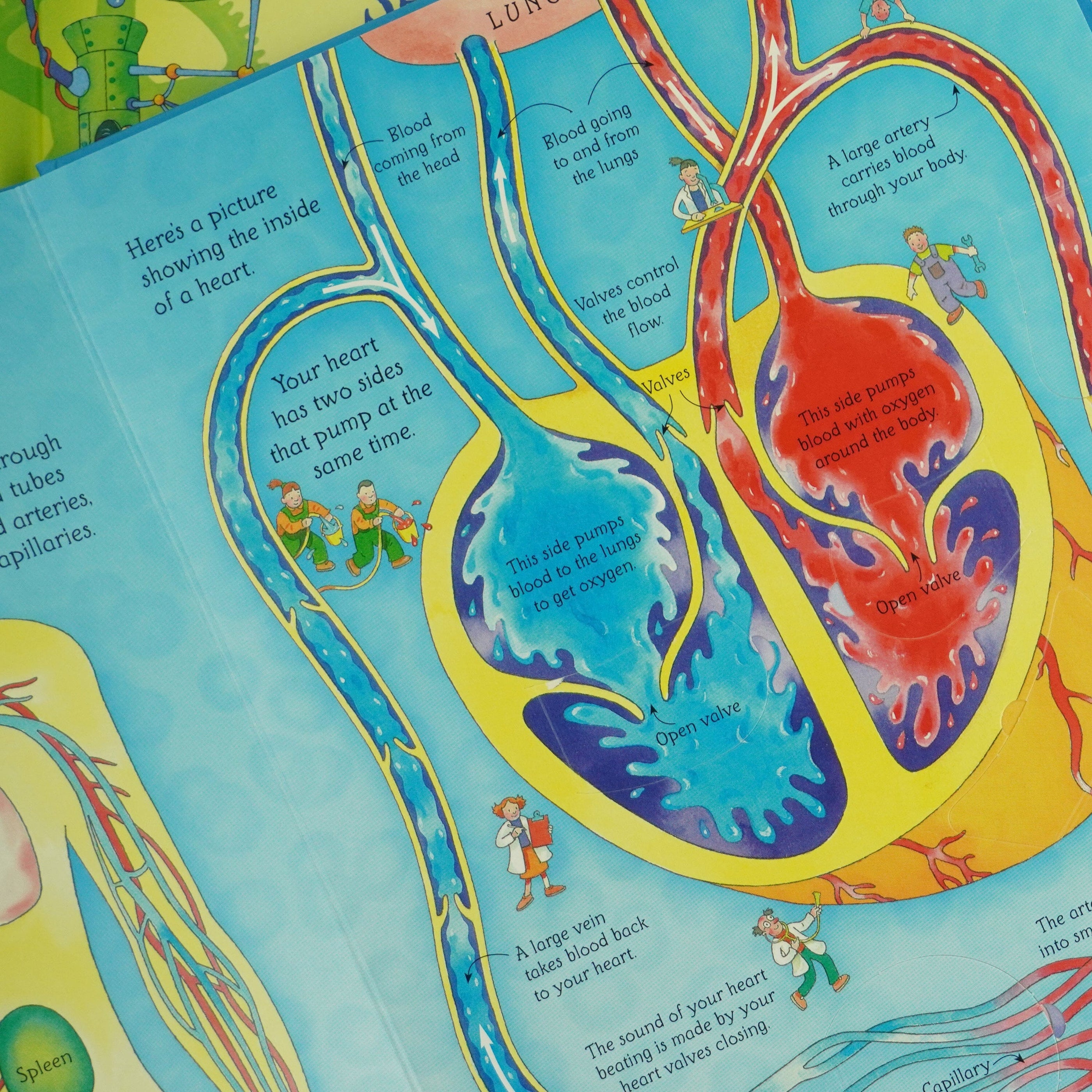 An Usborne Flap Book See Inside Series 2 Books Set - Ages 6+ - Board B ...