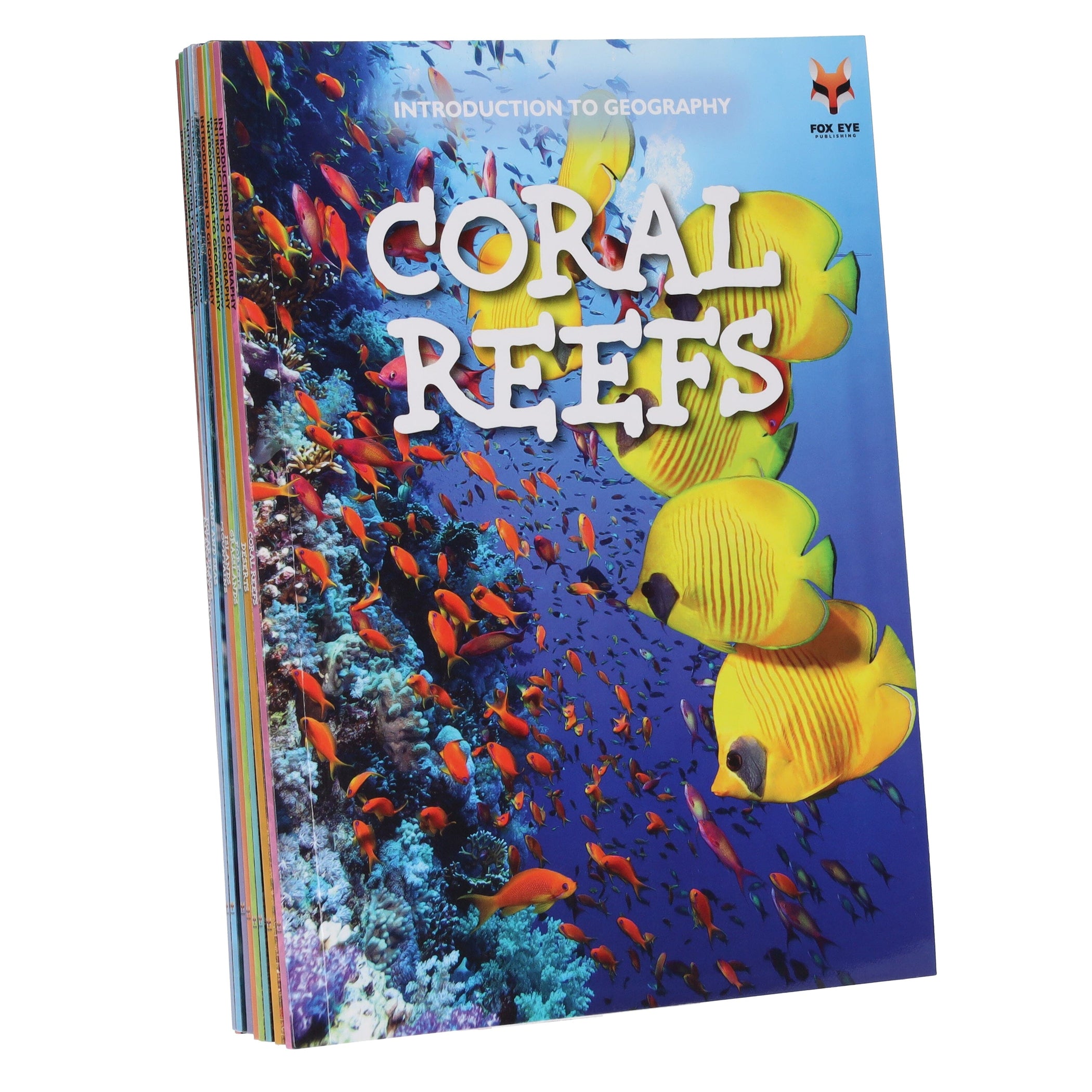 Introduction to Geography for Beginners 10 Books Collection Set - Ages ...