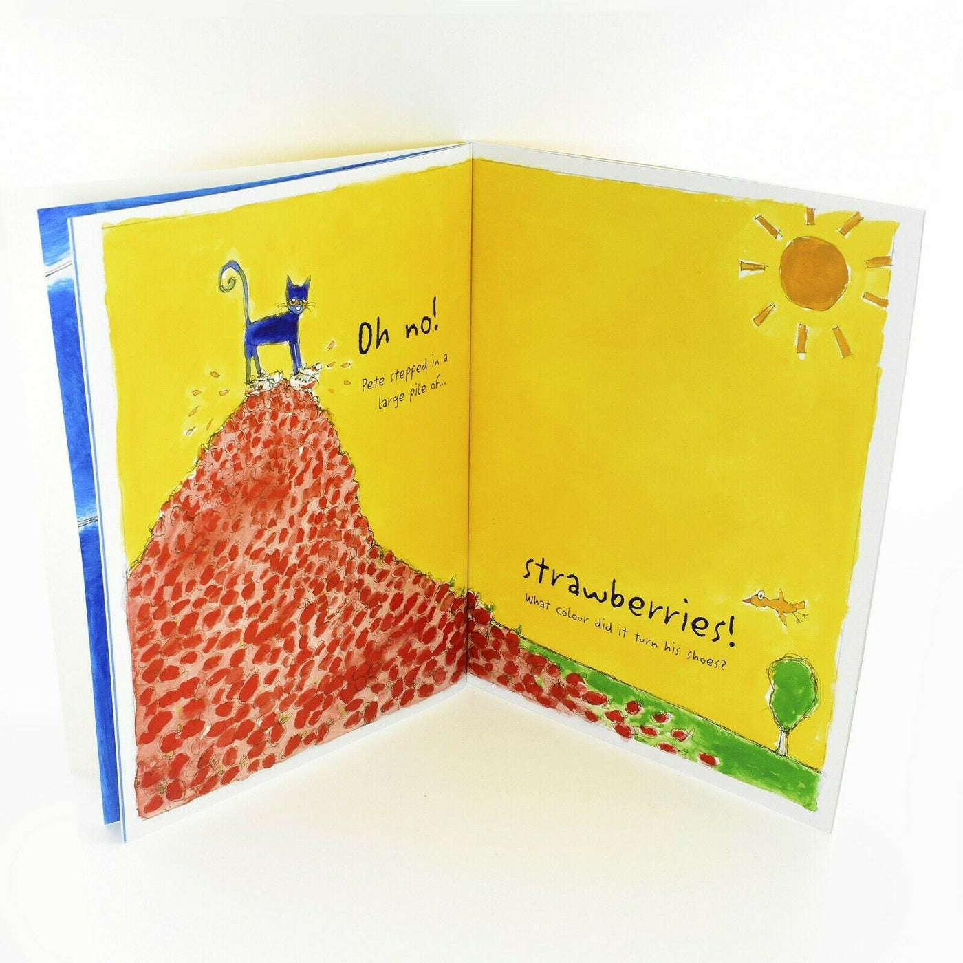 Pete the Cat Series By Eric Litwin 3 Books — Books2Door