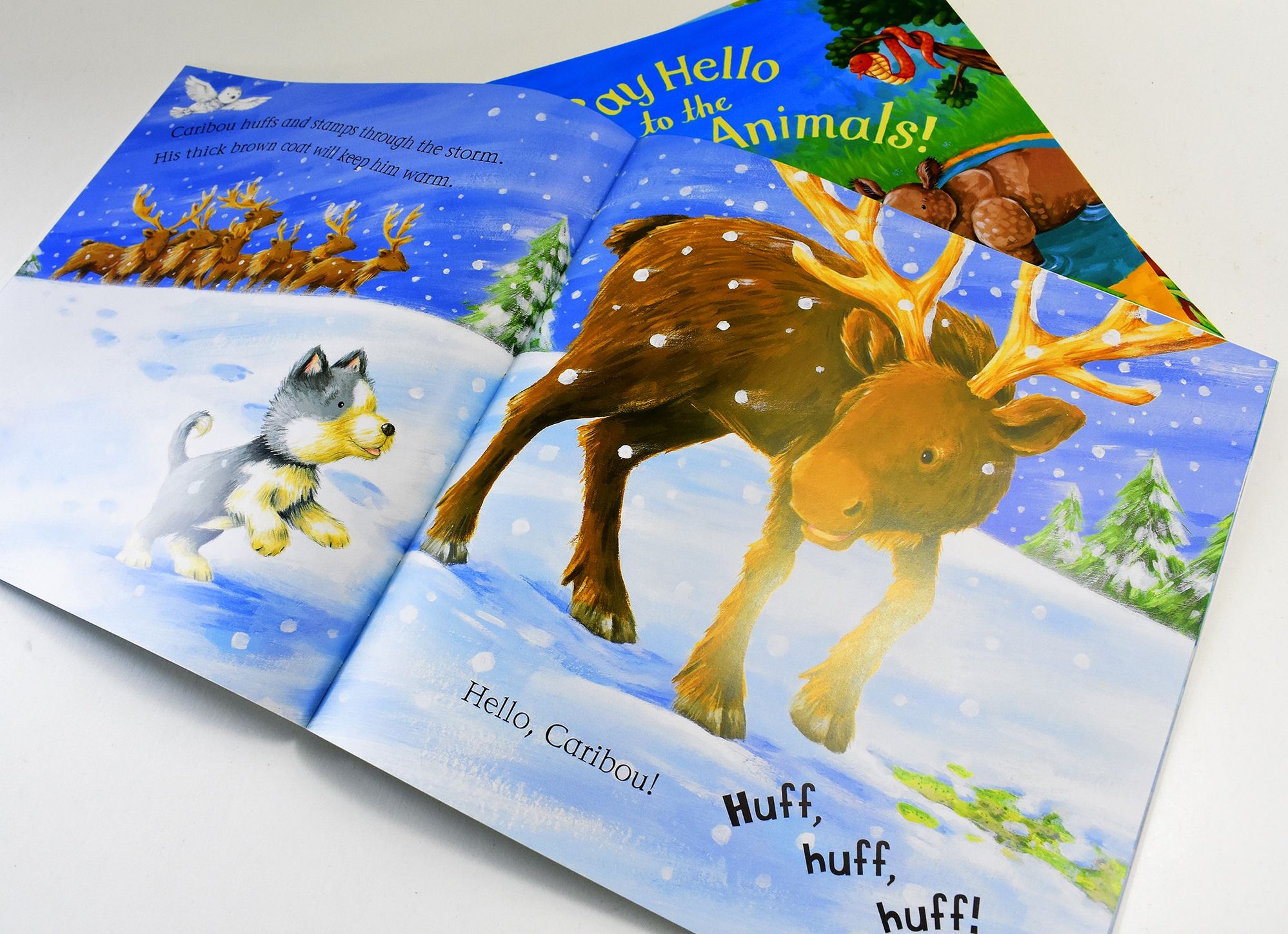Say Hello To The Animals by Ian Whybrow 6 Books Children Set - Ages 0 ...