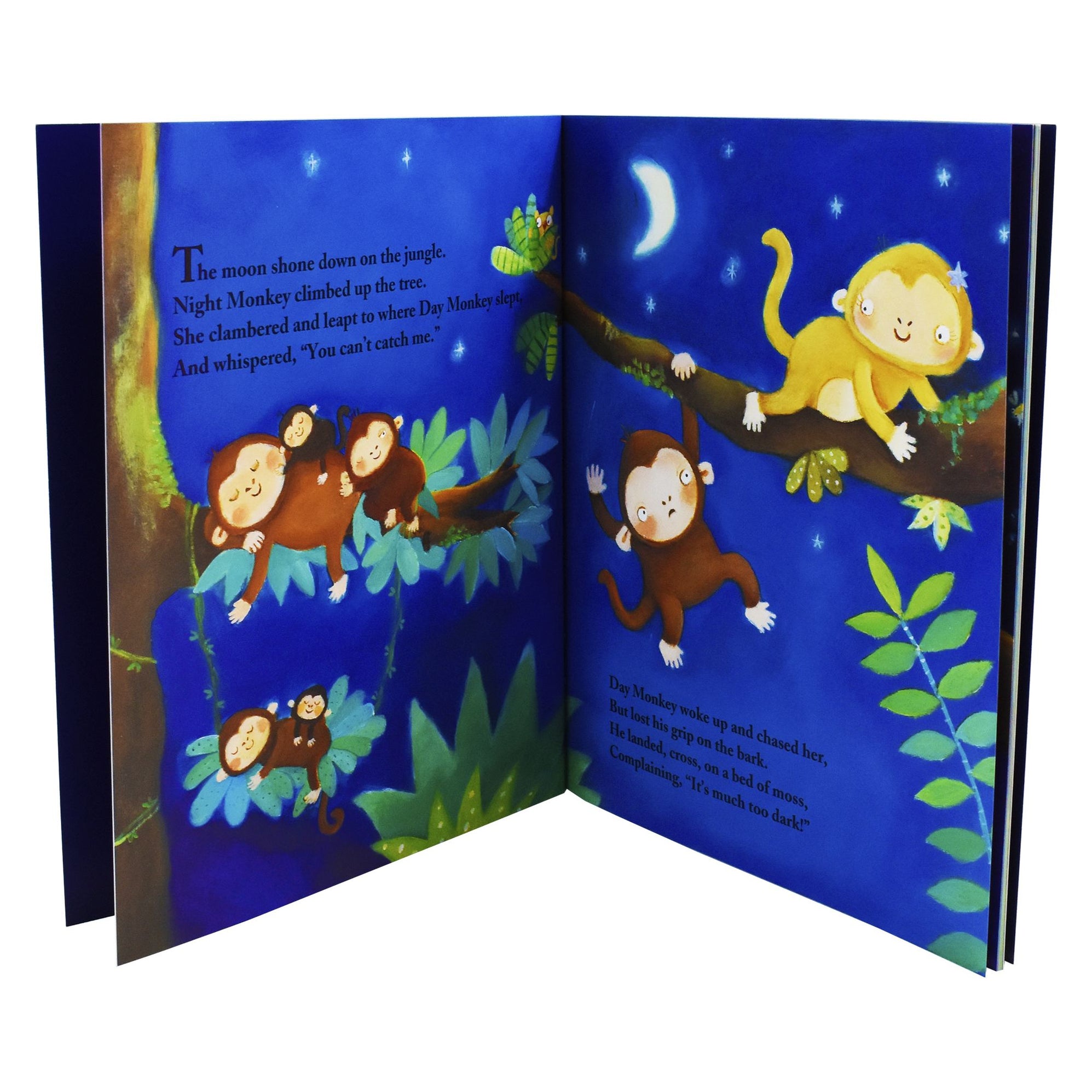 Julia Donaldson 2 Books Collection Set (Spinderella, Night Monkey Day ...