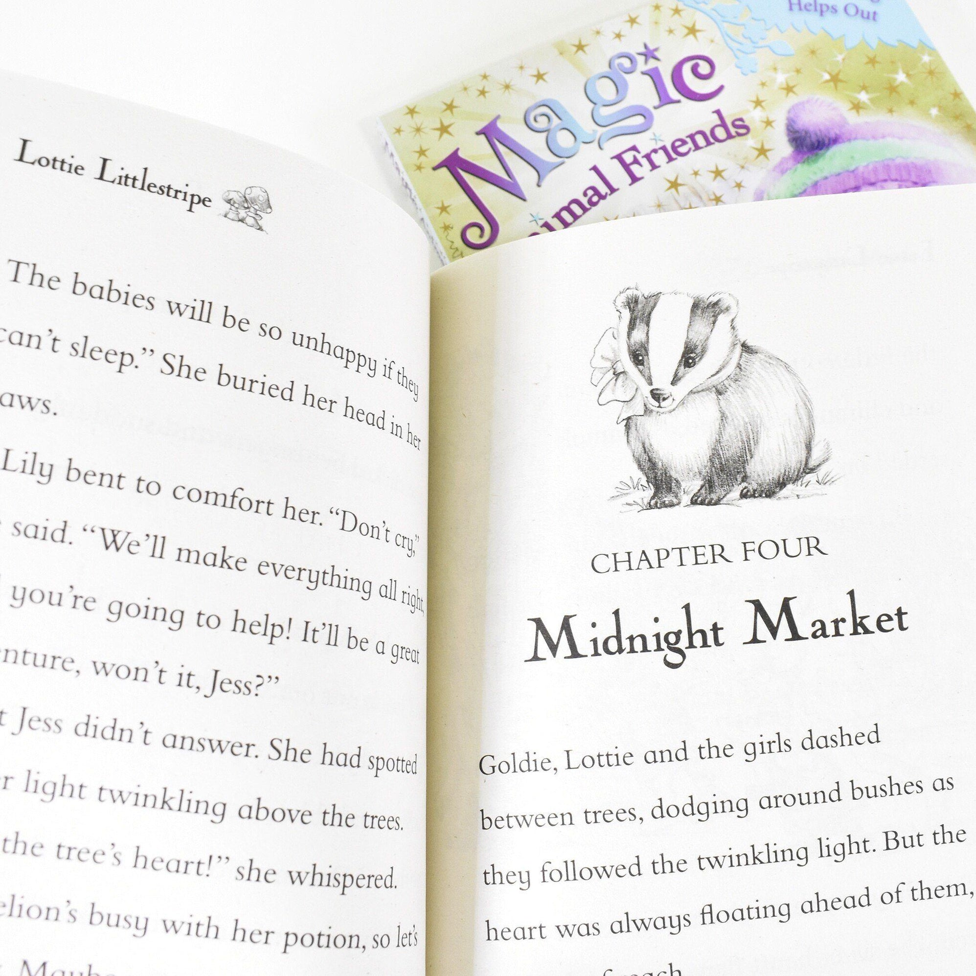 Magic Animal Friends By Daisy Meadows: 16 Books Children Pack Box Set ...