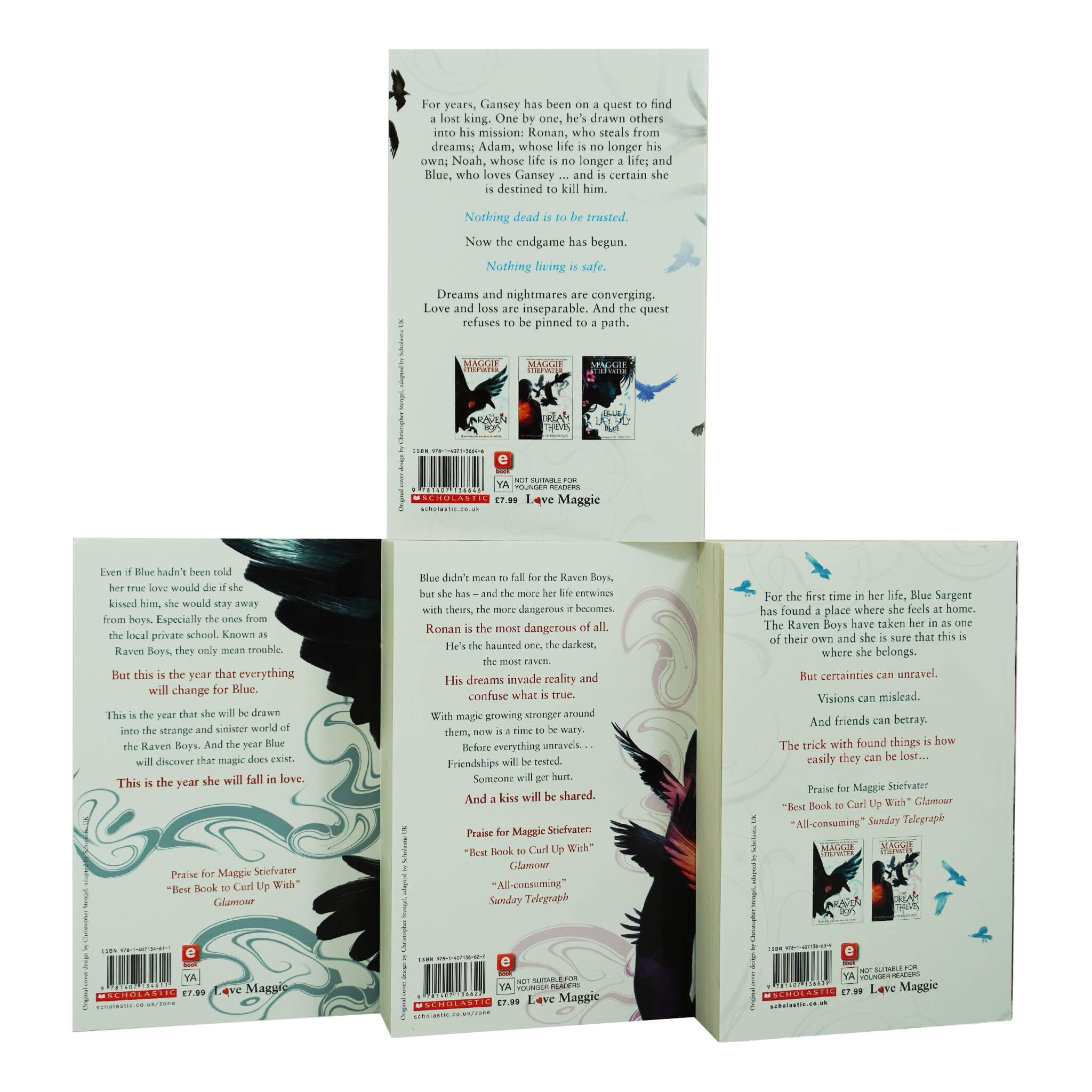 The Raven Cycle Series 4 Books Collection Box Set by Maggie Stiefvater ...