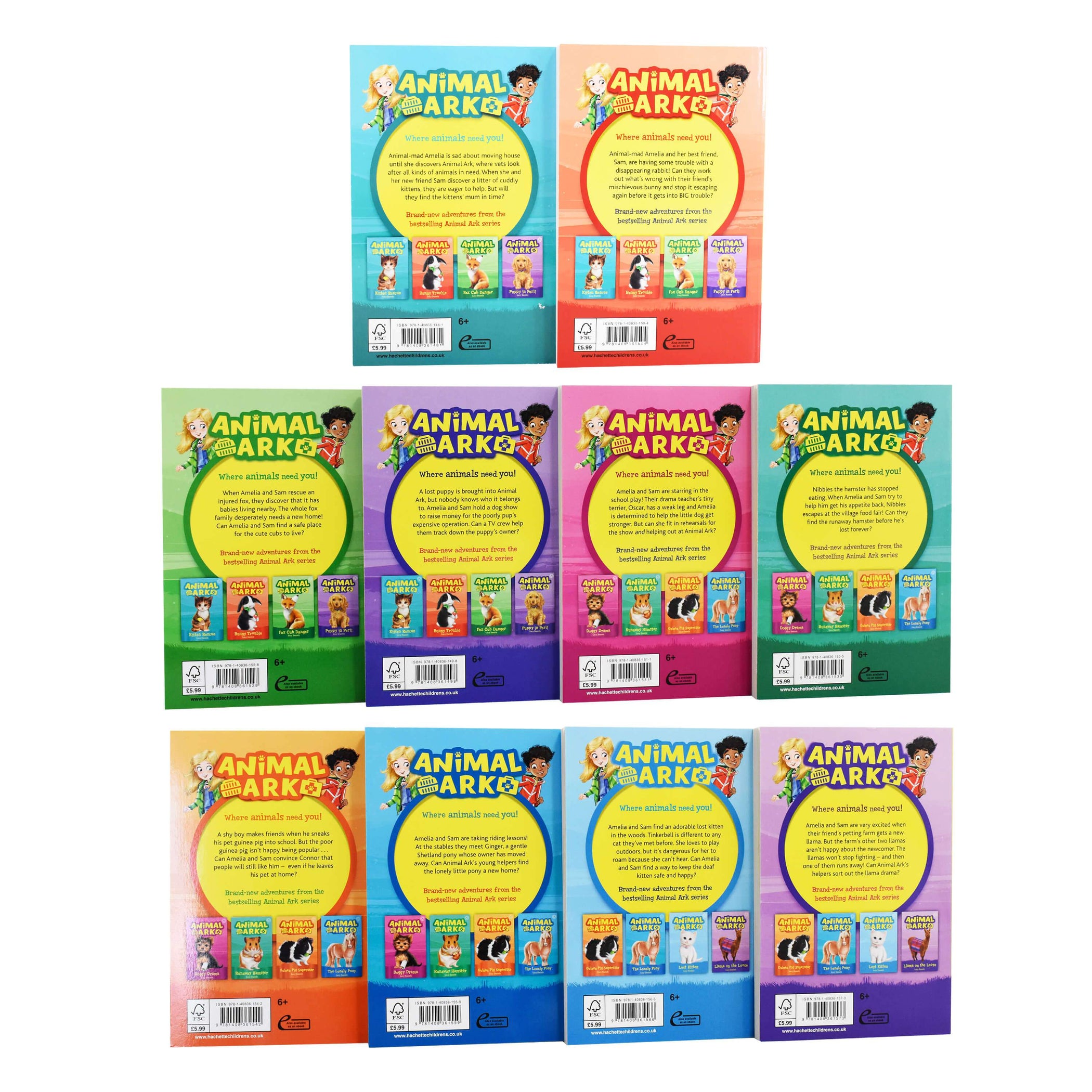 Animal Ark PET Rescue Series 10 Book Box Set — Books2Door