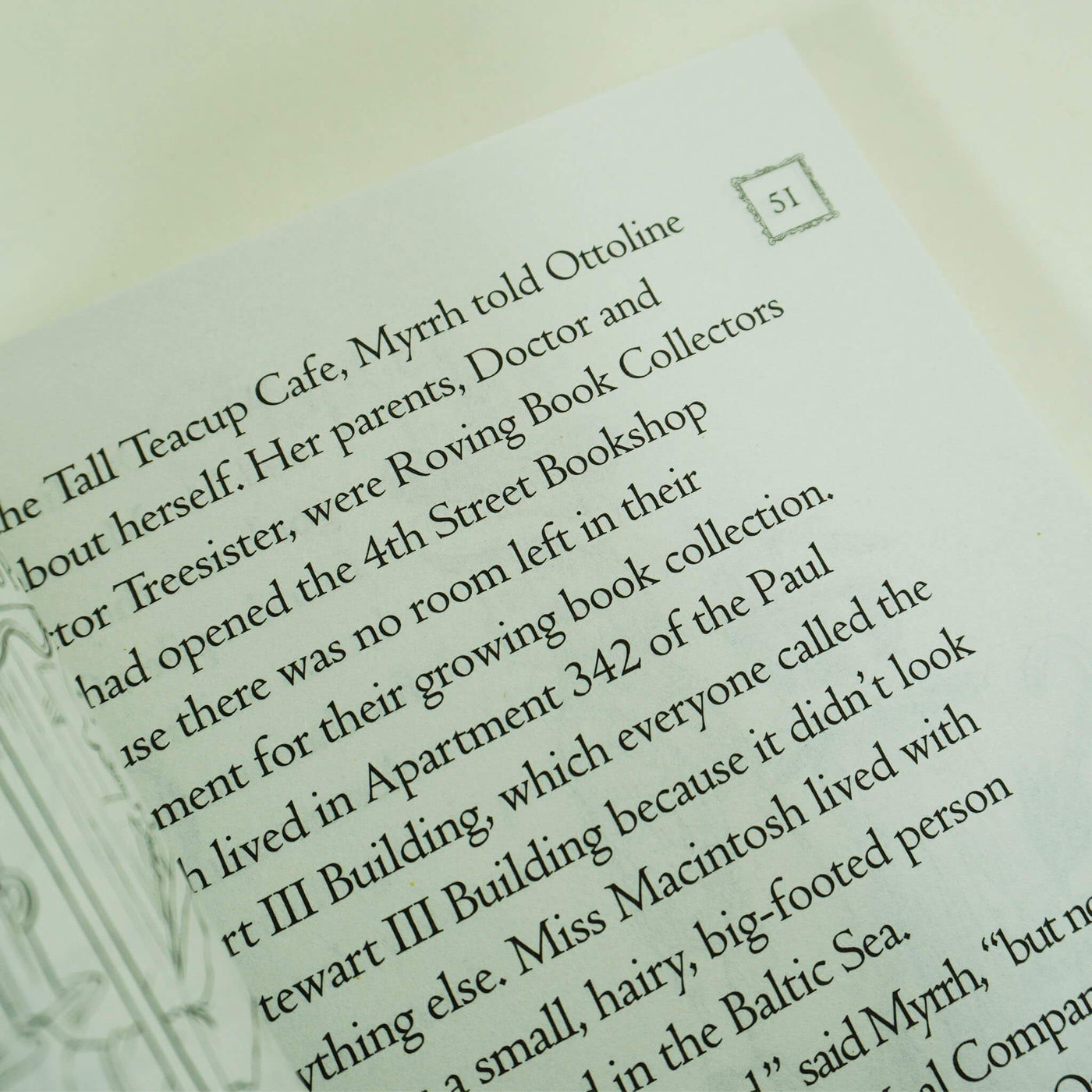 Chris Riddell Ottoline Collection 4 Books Set — Books2Door