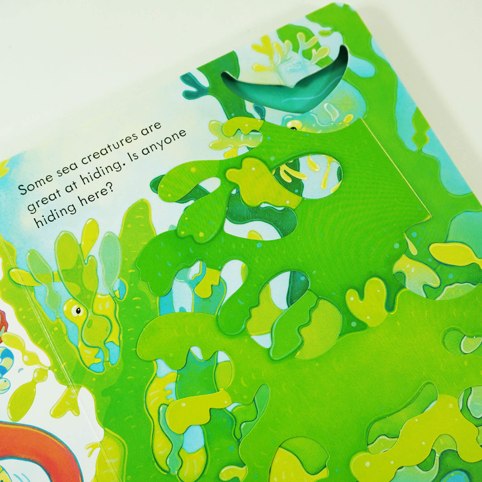 Usborne Peep Inside Gift Set 4 Books By Anna Milbourne – Ages 3+ - Boa ...