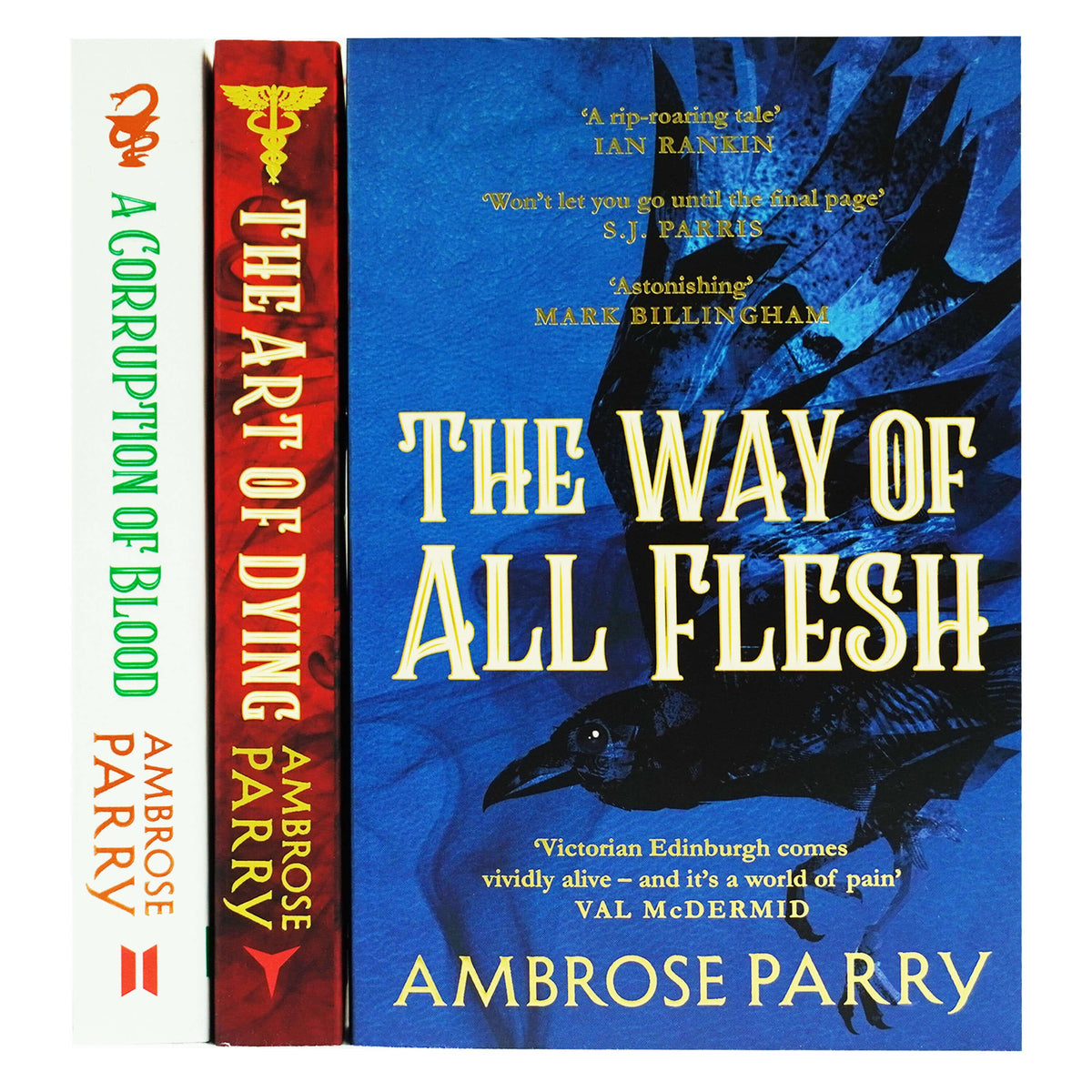 A Raven and Fisher Mystery by Ambrose Parry 3 Books Collection Set - F ...