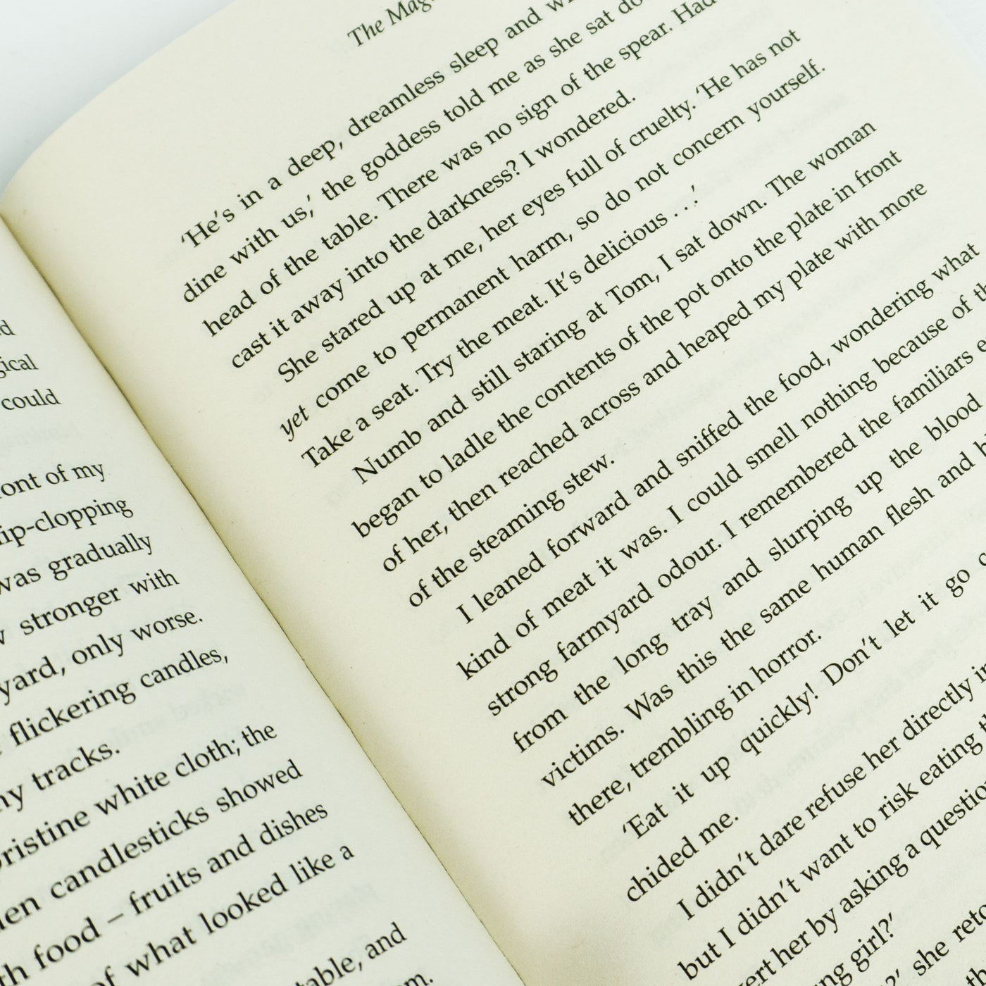 The Spook's Apprentice: Brother Wulf By Joseph Delaney 3 Books Collect ...