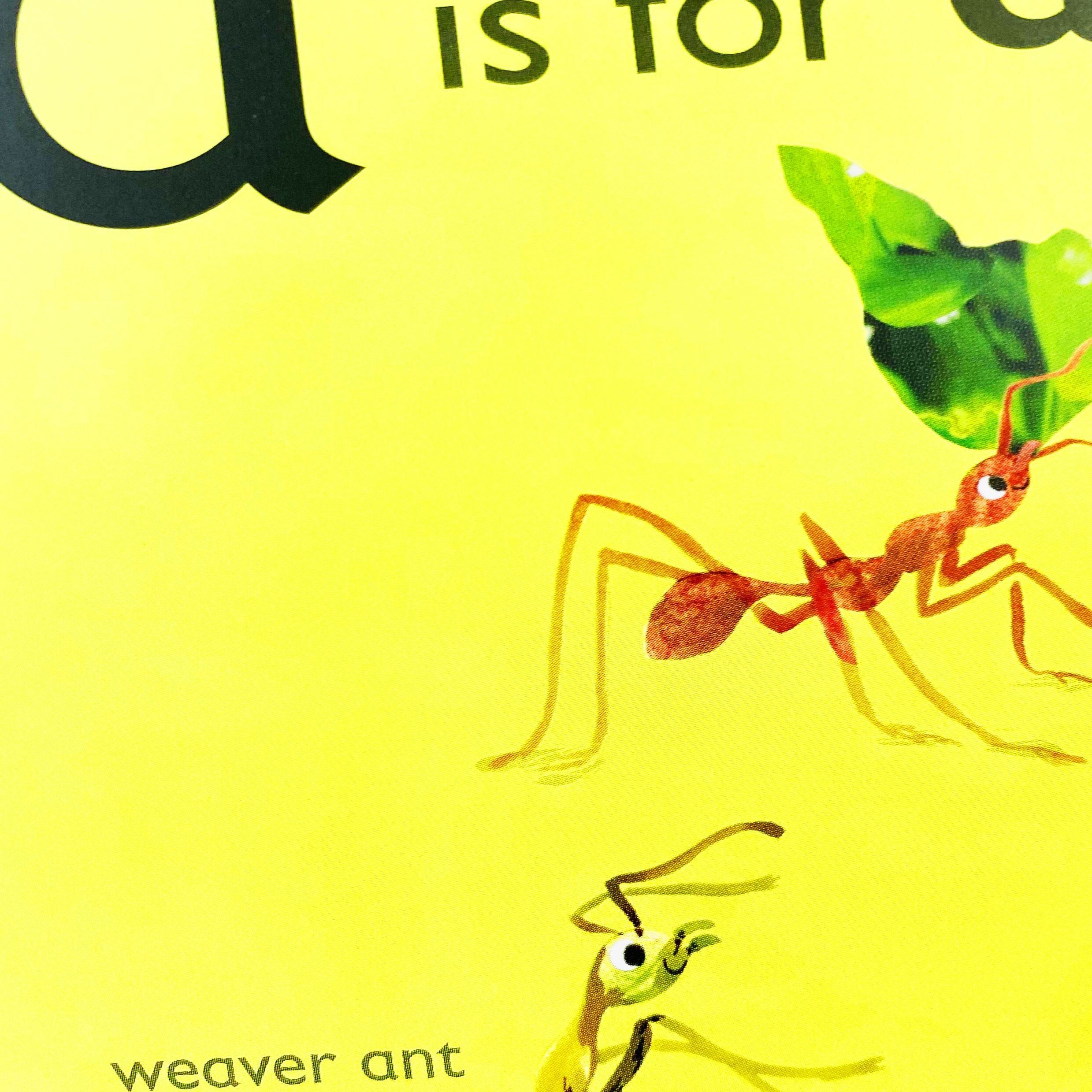 The Animal Alphabet Library Collection By DK: 26 Books Set (A To Z ...