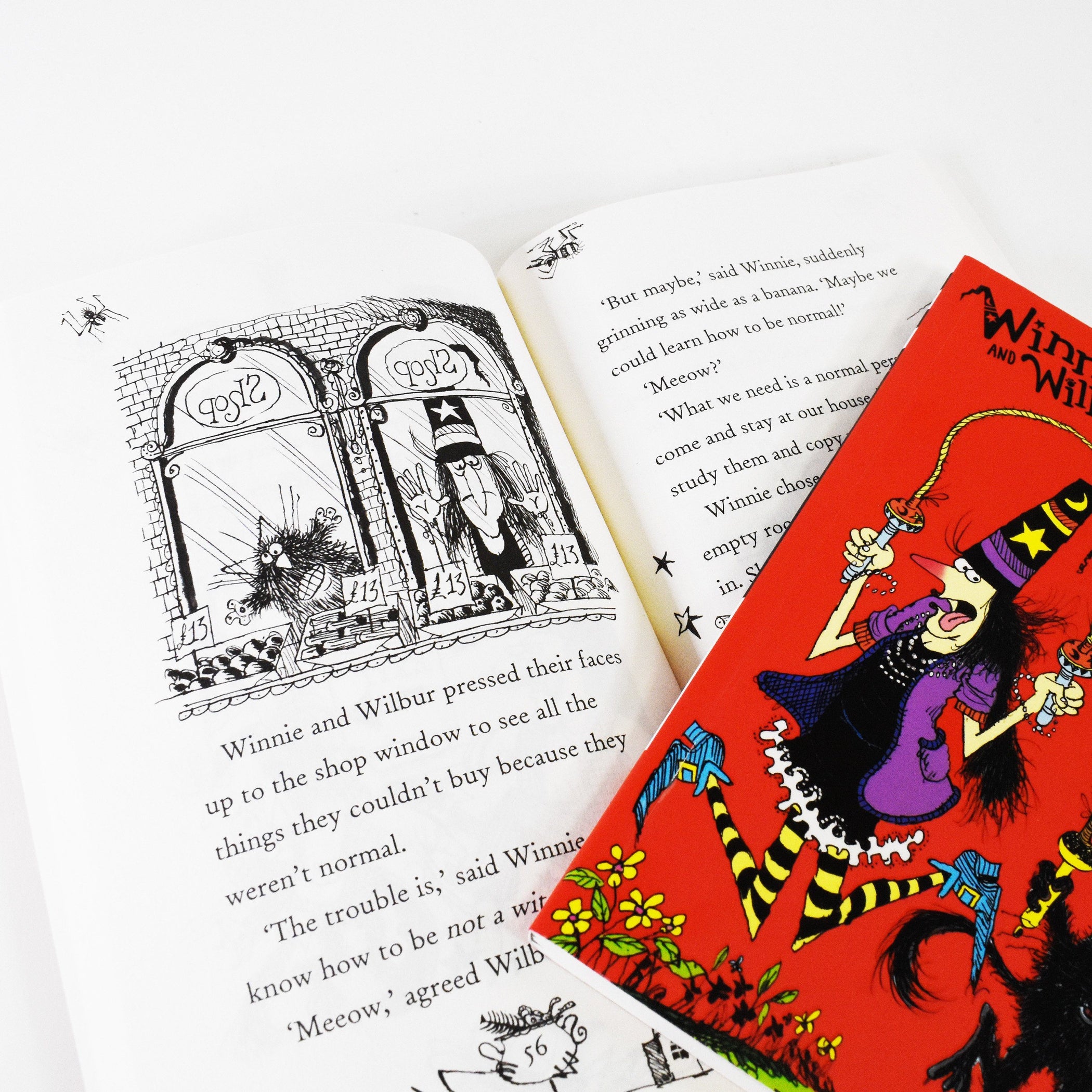 Winnie and Wilbur By Laura Owen-Korky Paul — Books2Door