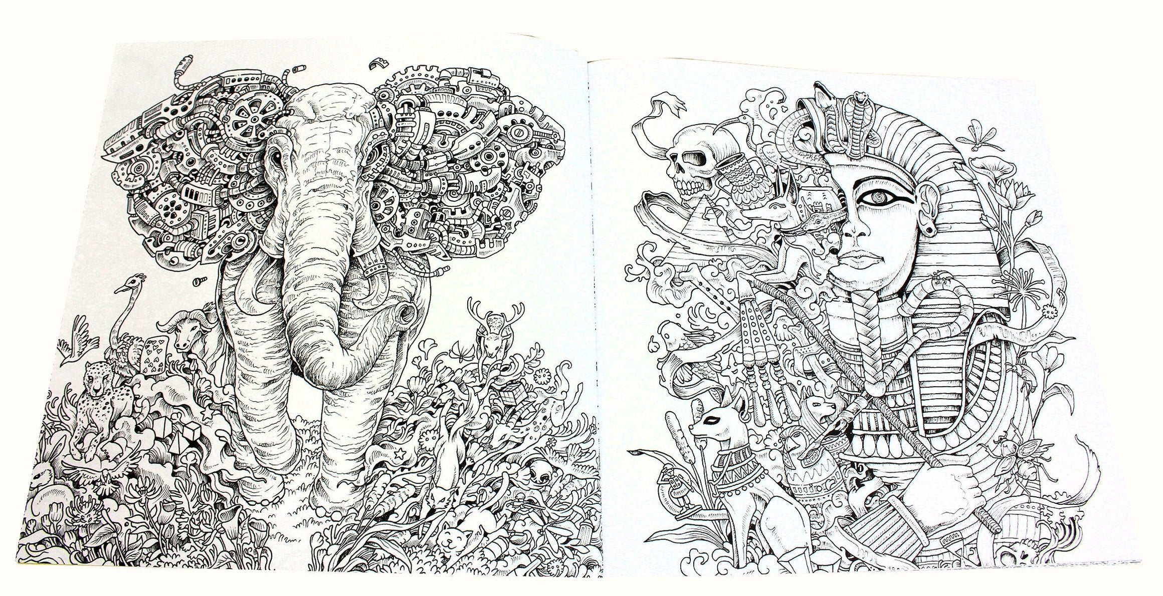 3 Extreme Colouring Books — Books2Door