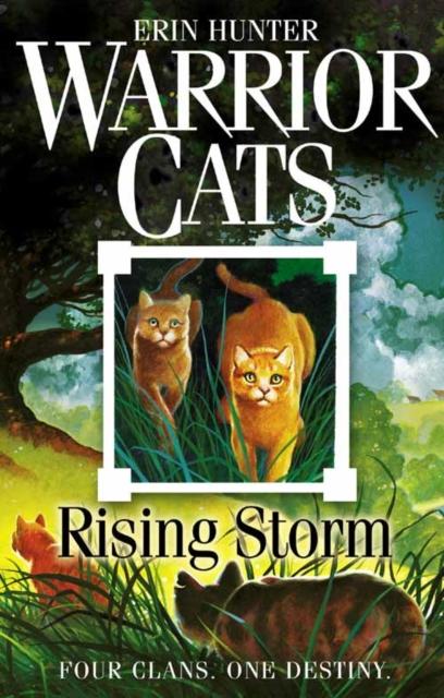 Warrior Cats by Erin Hunter: Series: Rising Storm — Books2Door