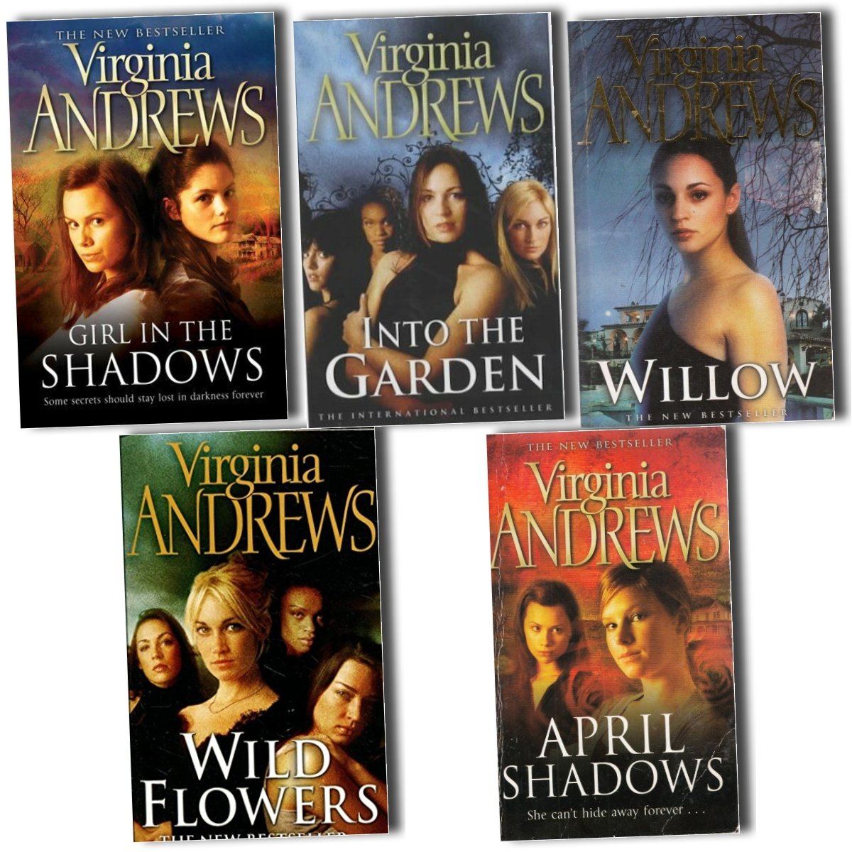 Virginia Andrews 5 Books set - Adult - Paperback — Books2Door